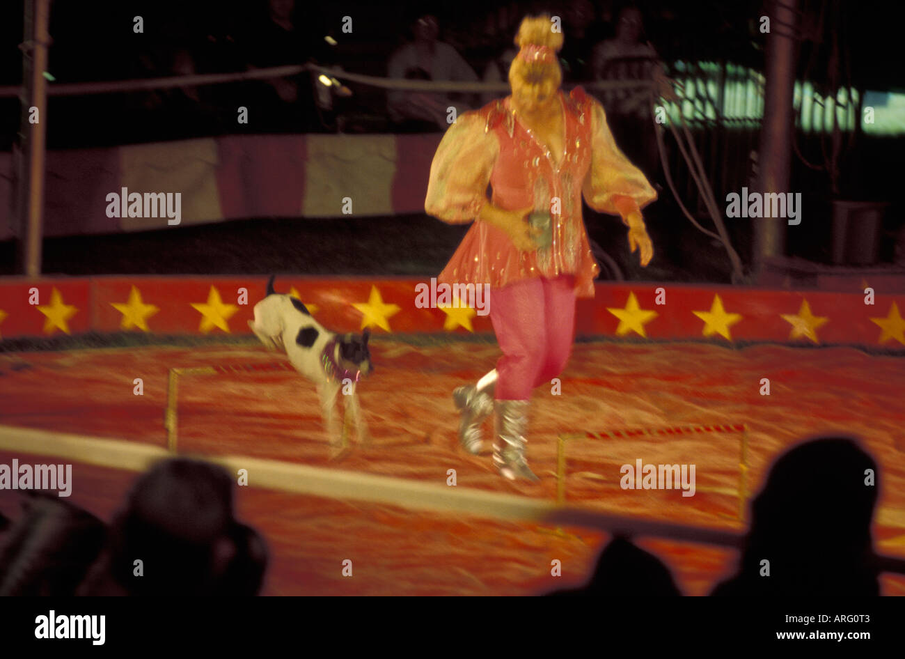 Dog circus act hi-res stock photography and images - Alamy