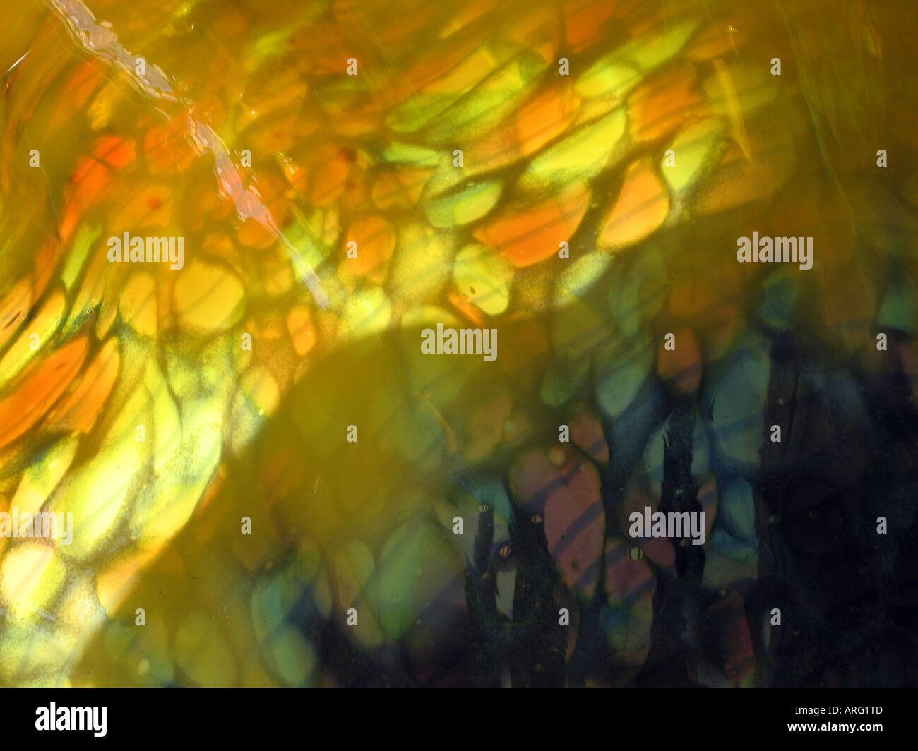 Smooth abtract yellow glass patterns by artist Dale Chihuly Stock Photo ...