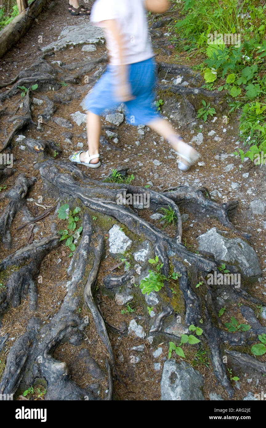 Children tree roots hi-res stock photography and images - Alamy