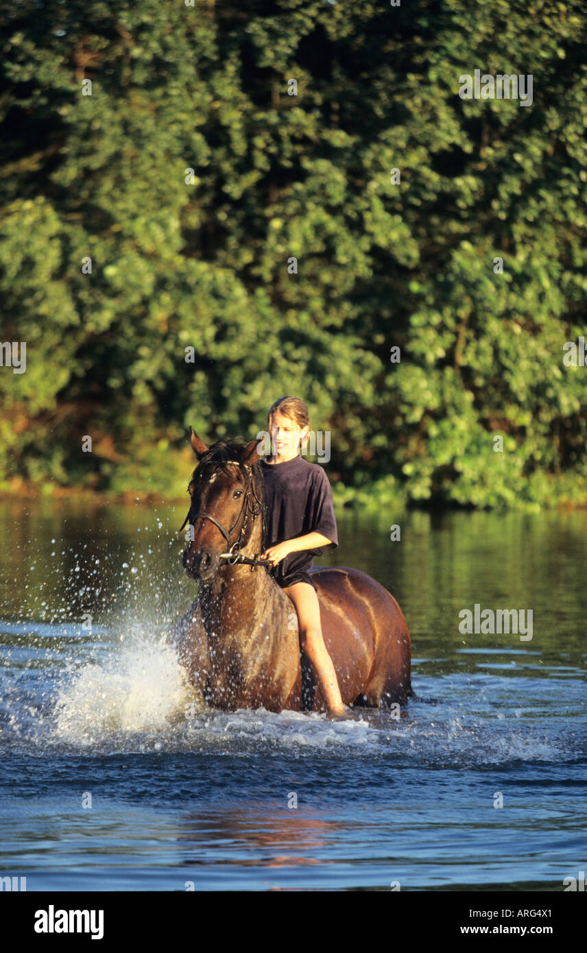 Cooling a horse hi-res stock photography and images - Alamy