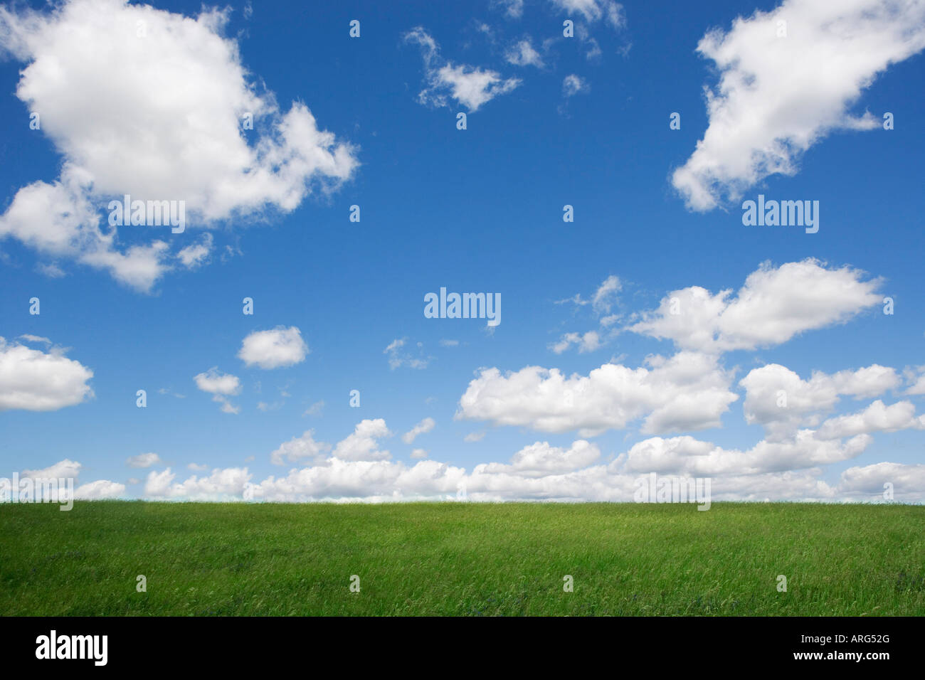 Blue Sky and Field Stock Photo - Alamy