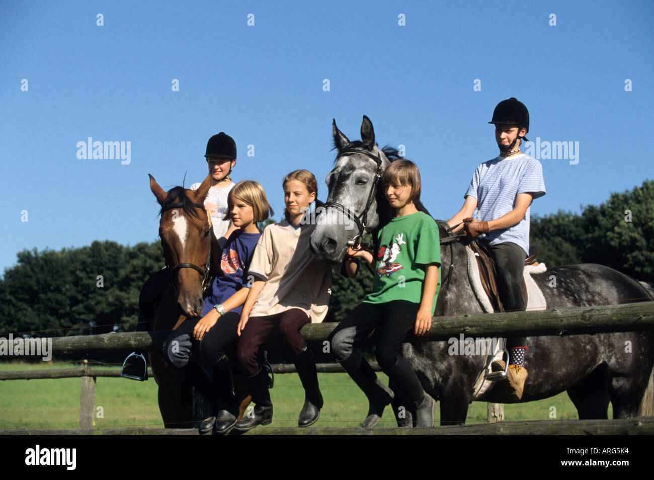 Girls and horses by a wooden fence Trakehner Stock Photo - Alamy