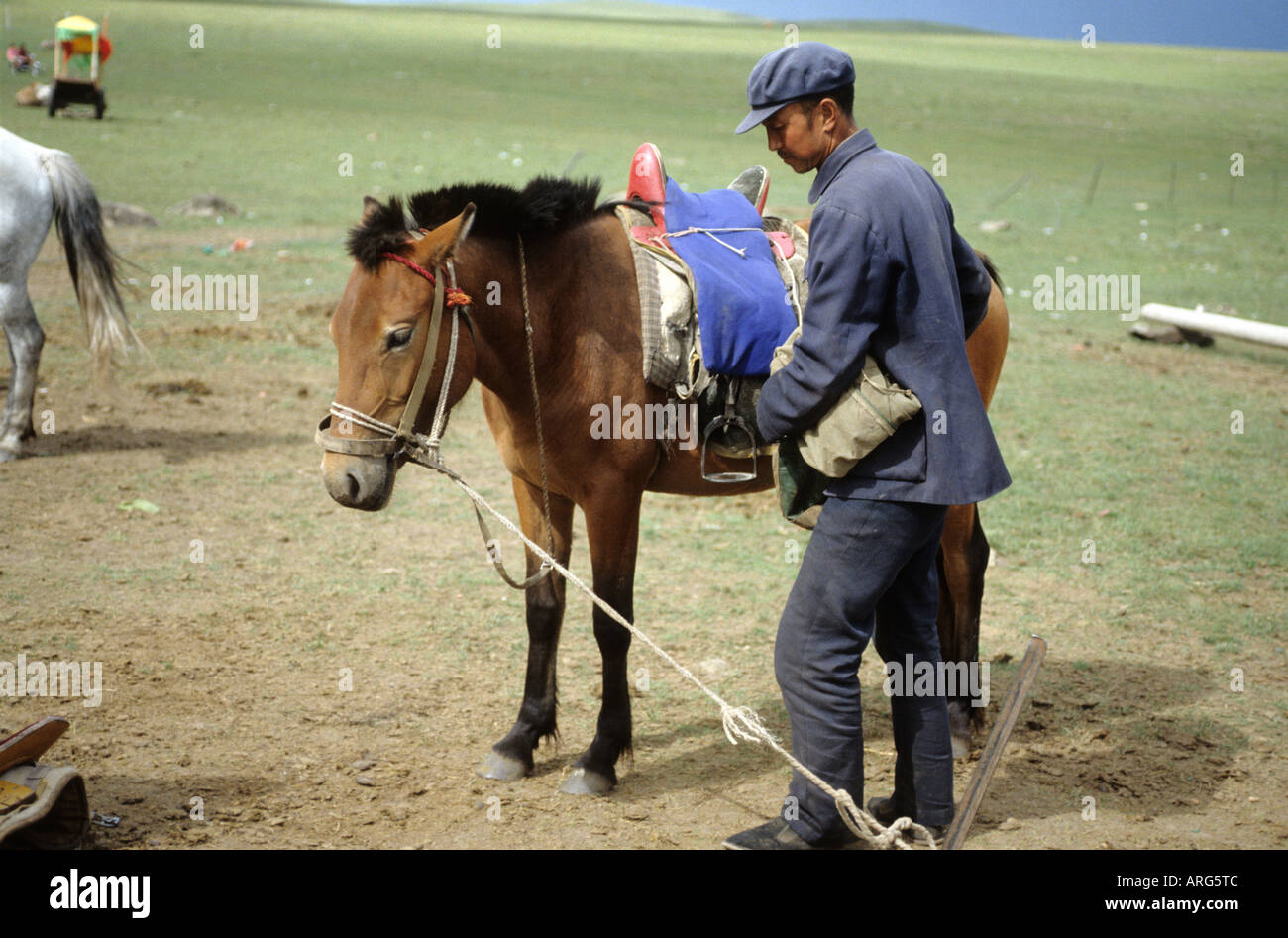 Horse and Rider Stock Photo - Alamy