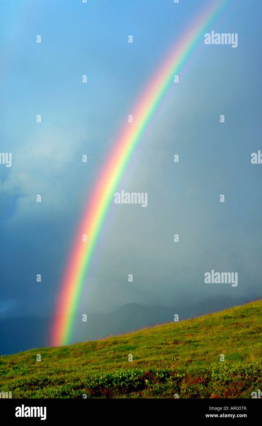 A rainbow arches over the Arctic Tundra in Denali National Park Alaska ...
