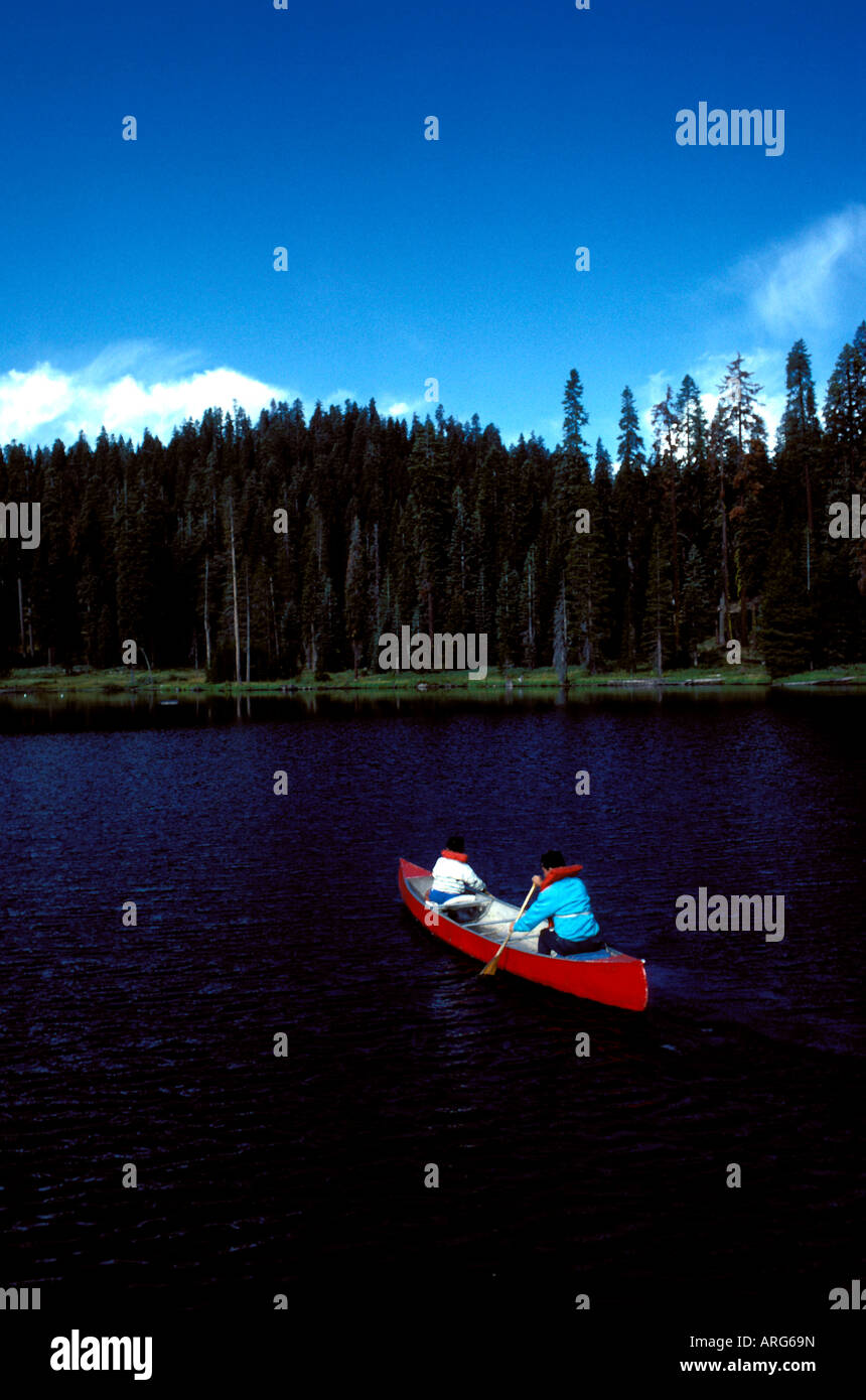 CA Sequoia Kings Canyon National Park canoe Big Trees Sequoiadendron ...