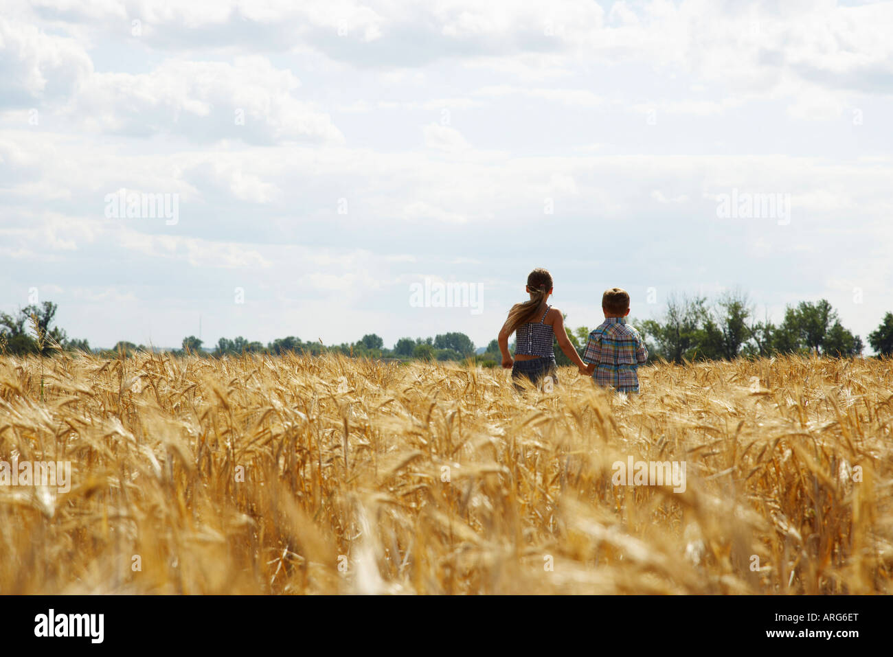 11 year old boy farm hi-res stock photography and images - Alamy