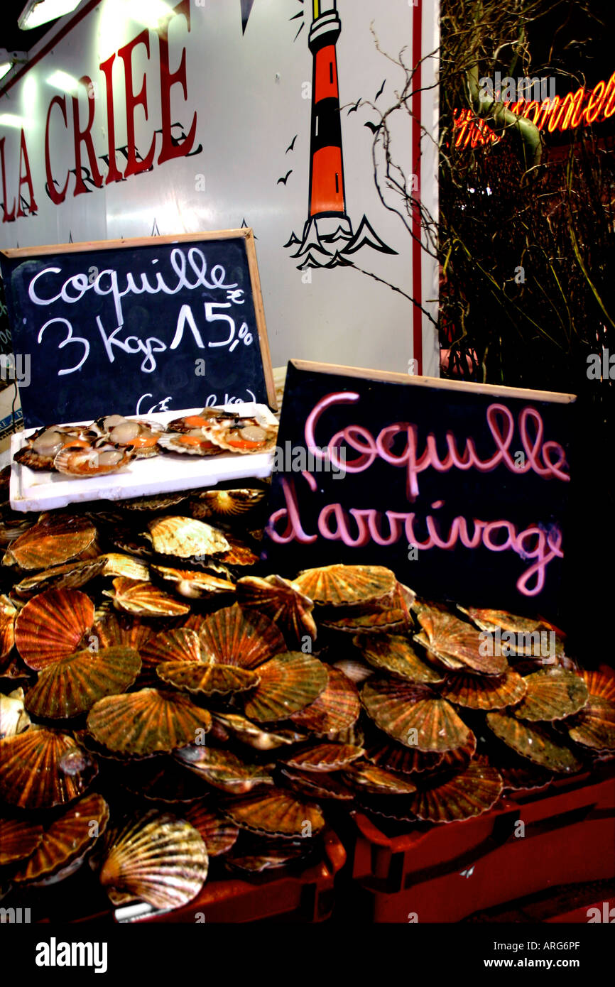 Coquille de crevette hi-res stock photography and images - Alamy