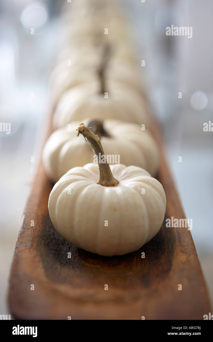 Albino pumpkins hi-res stock photography and images - Alamy