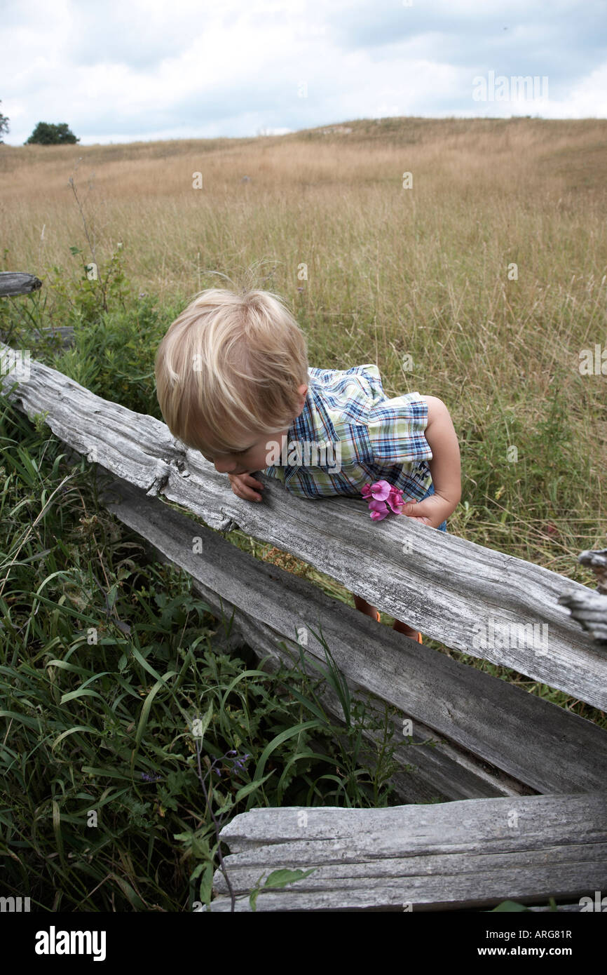 Boy Looking over Fence Stock Photo - Alamy