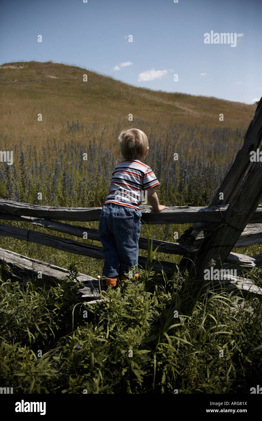 Boy Looking over Fence Stock Photo - Alamy