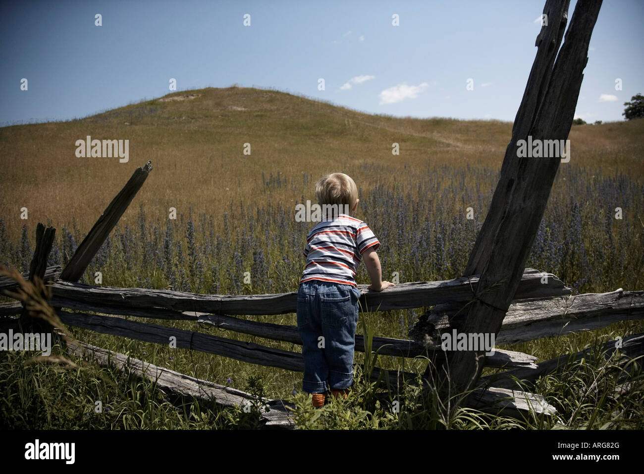 Boy Looking over Fence Stock Photo - Alamy
