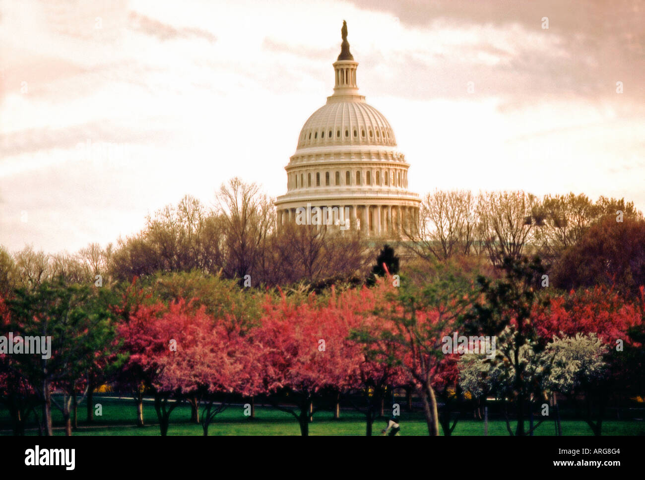 City of everlasting spring hi-res stock photography and images - Alamy