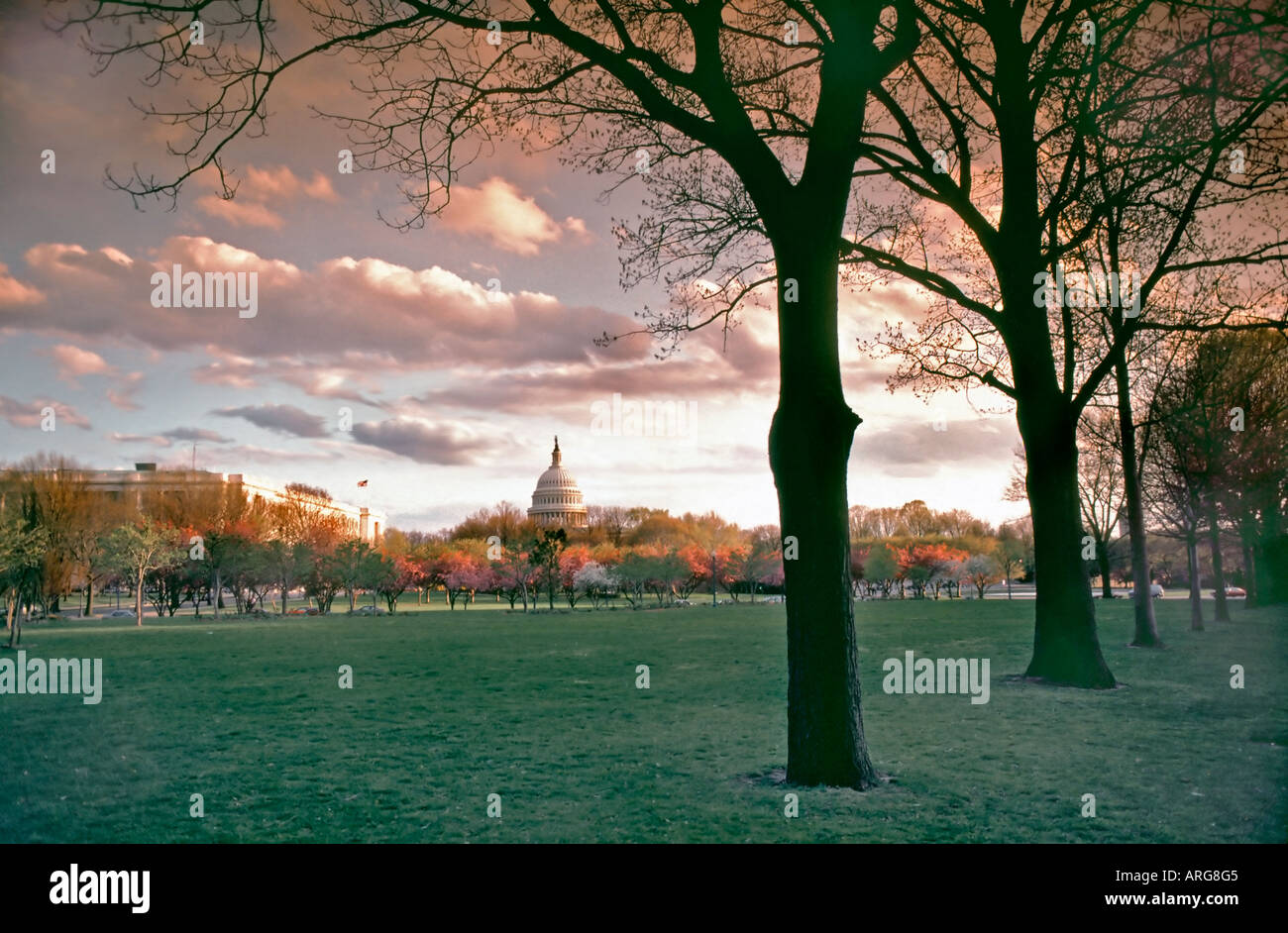 Scenic USA, Washington DC, The Capitol Building, seen from From Gardens ...