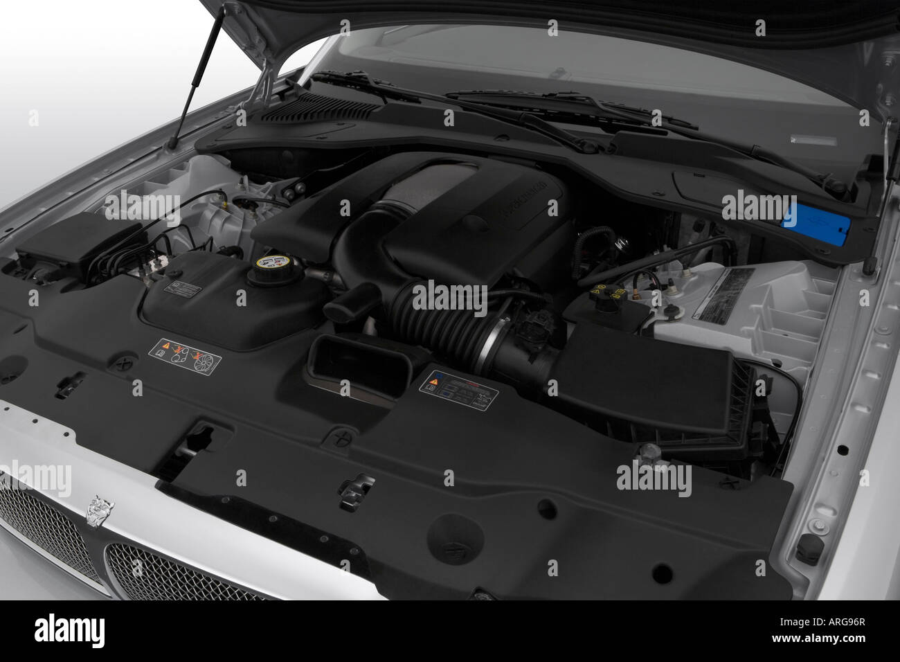 Jaguar v8 super hi-res stock photography and images - Alamy