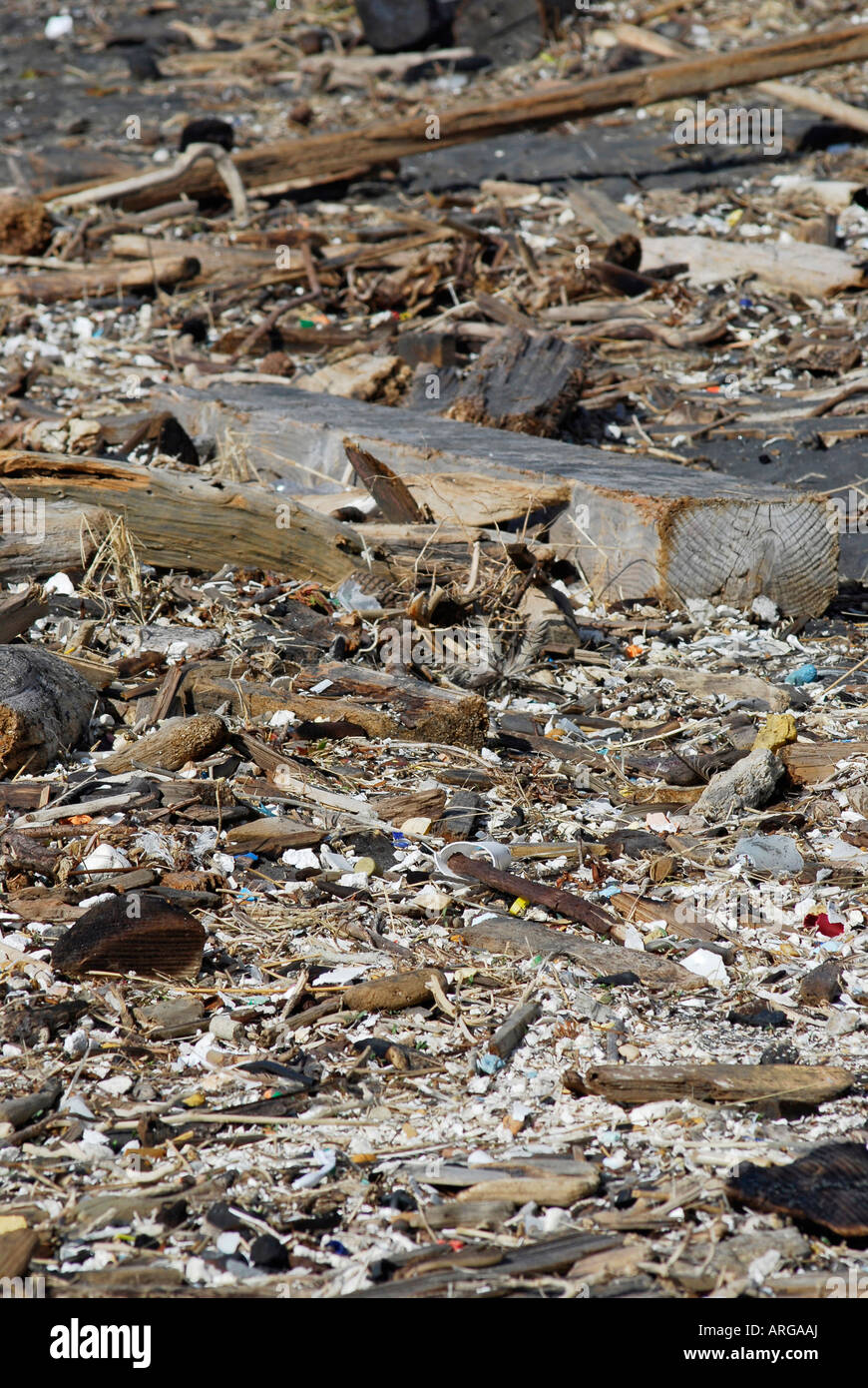 "garbage washed up on the beach, Pacific coast, San Francisco Stock ...