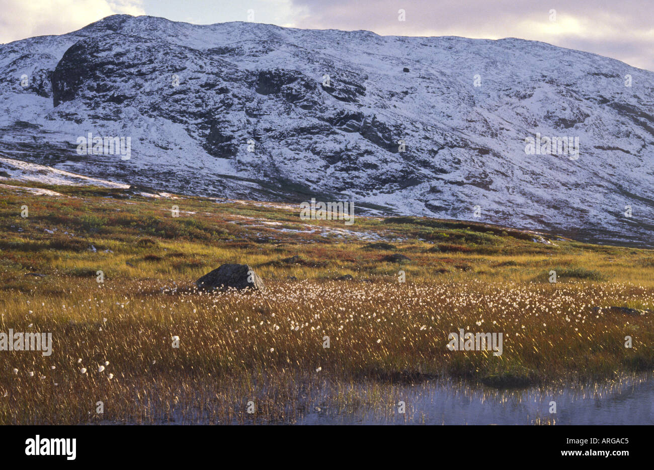Norway spring melt hi-res stock photography and images - Alamy