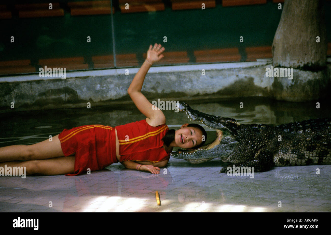 Show Of Crocodiles High Resolution Stock Photography and Images - Alamy