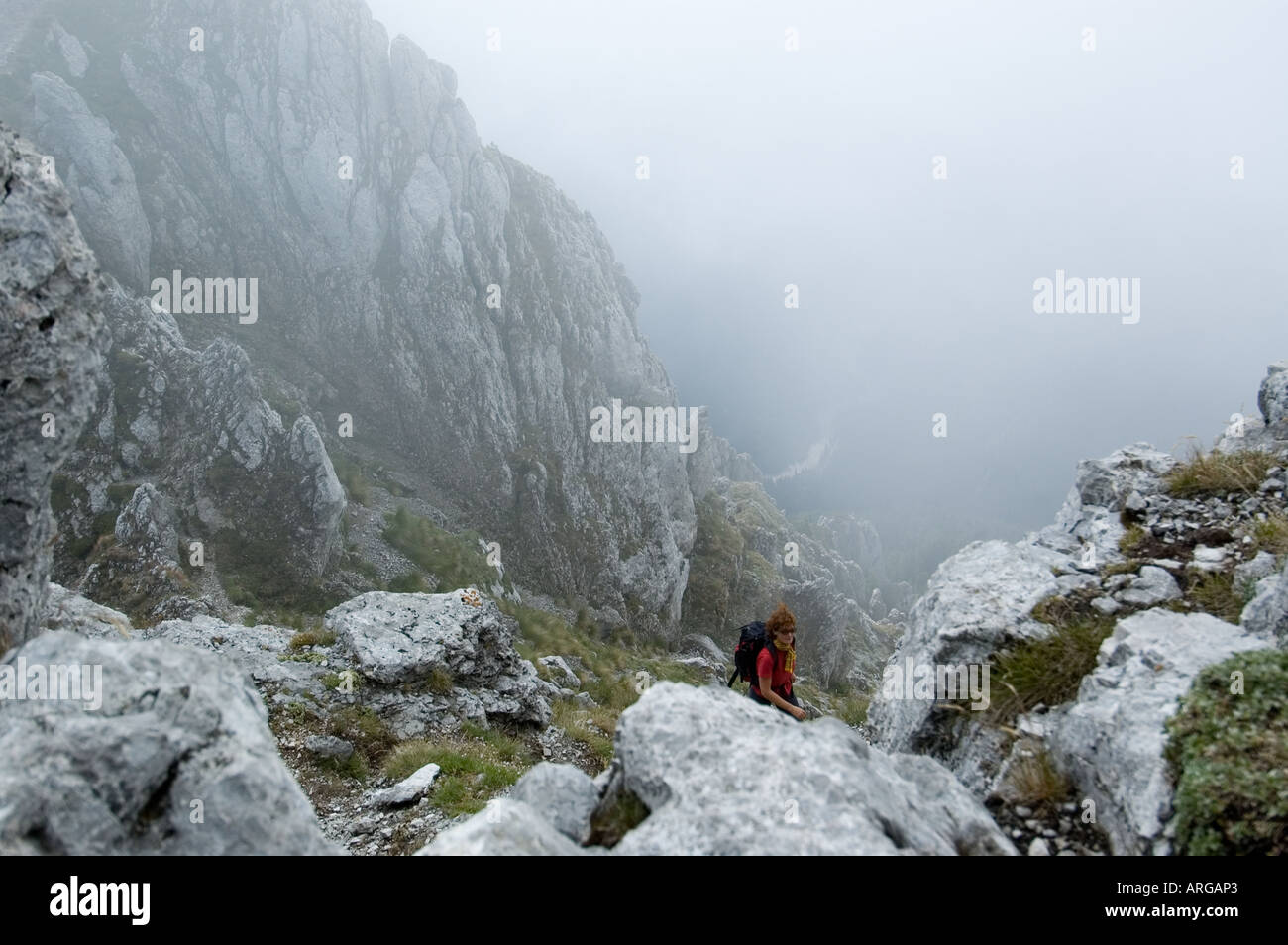 view from Hunter Peak Stock Photo - Alamy