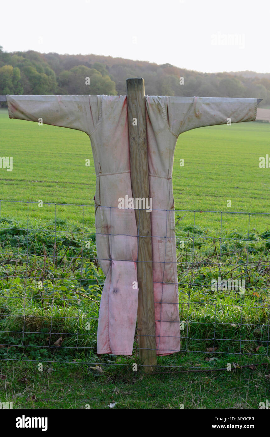 Scarecrow birds hi-res stock photography and images - Alamy