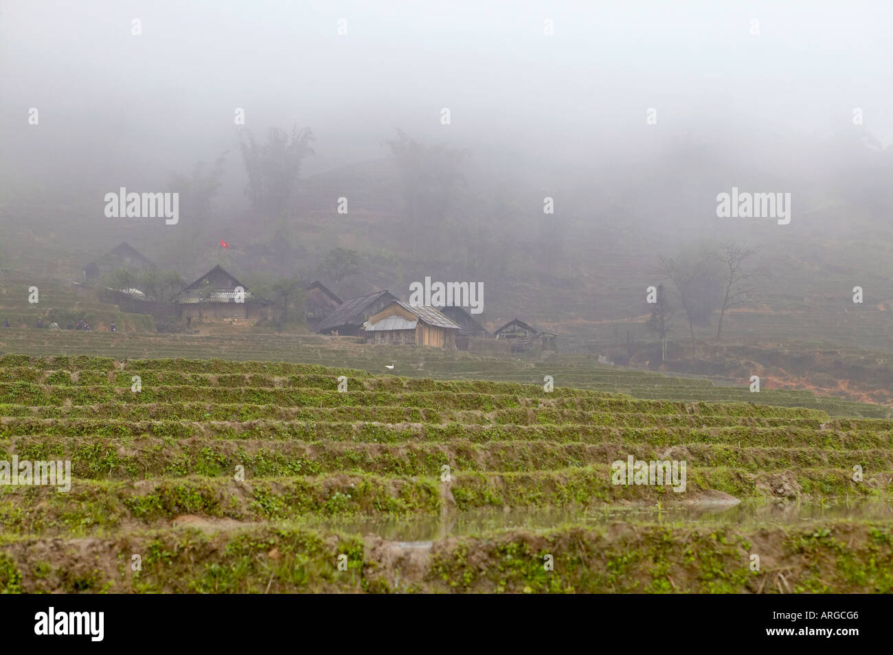 Fog near Sapa in Vietnam Stock Photo - Alamy
