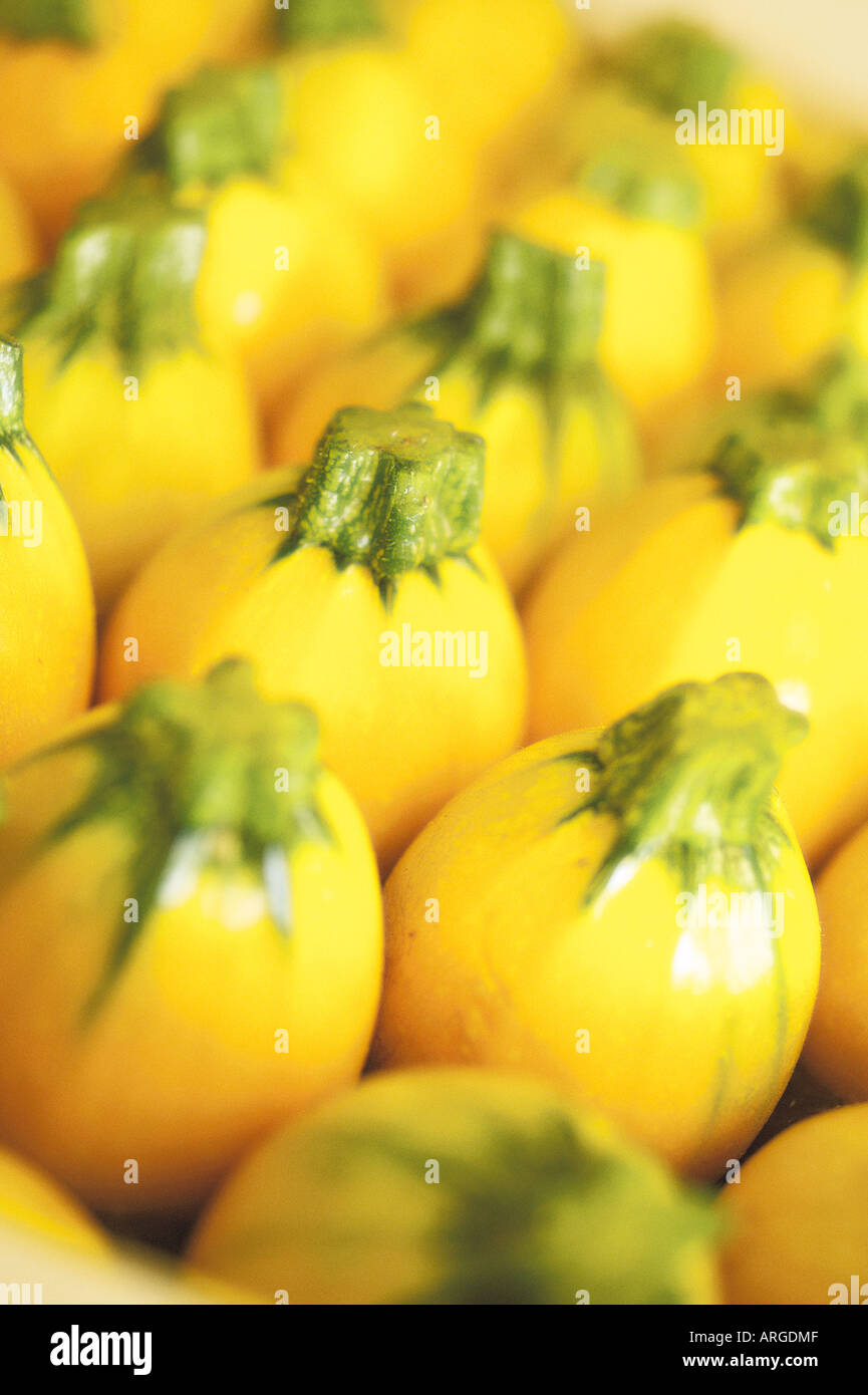 YELLOW COURGETTES IN A VEGETABLE BOX IN A RESTAURANT KITCHEN Stock ...