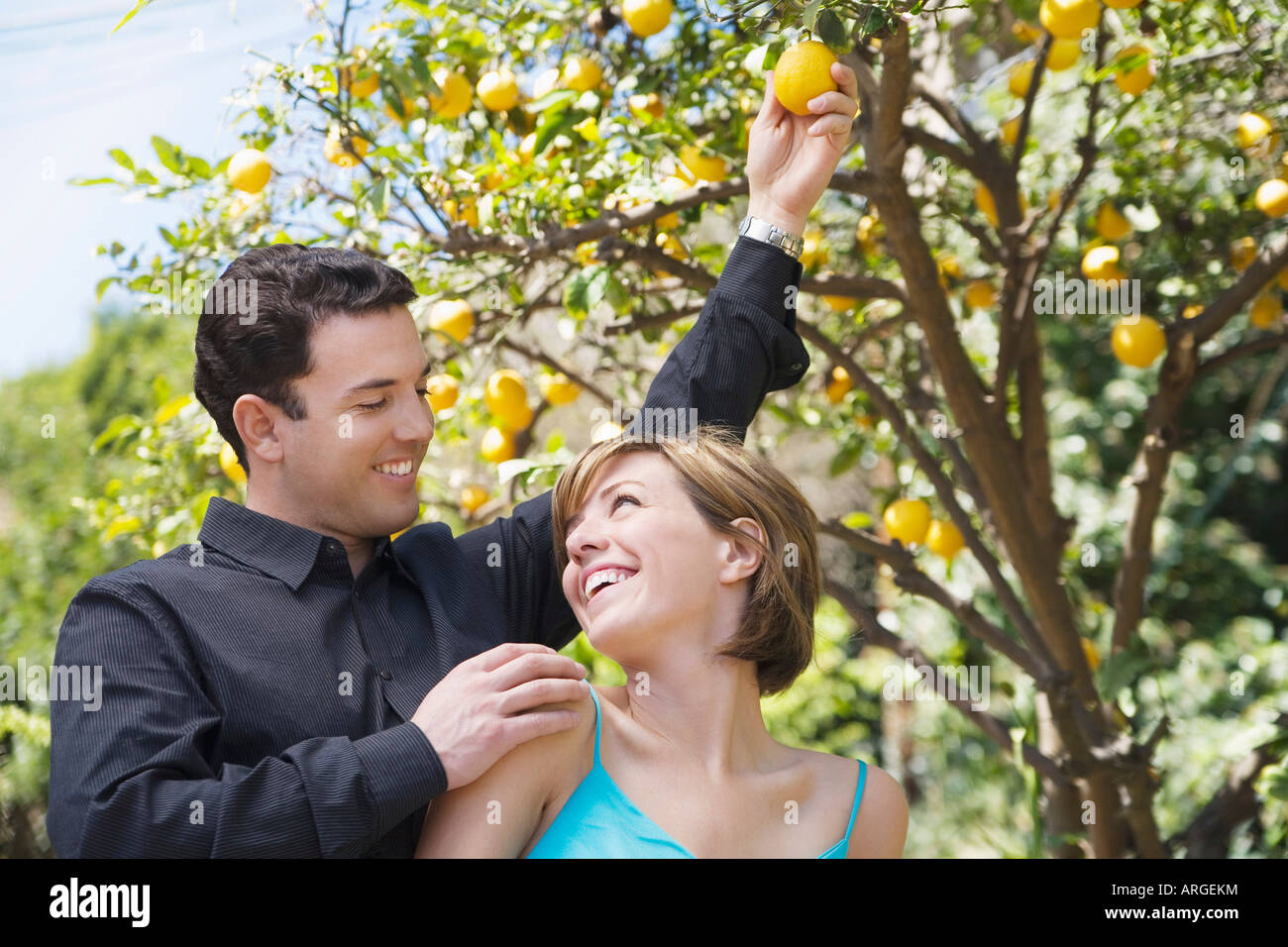 Couple with Lemon Tree Stock Photo - Alamy