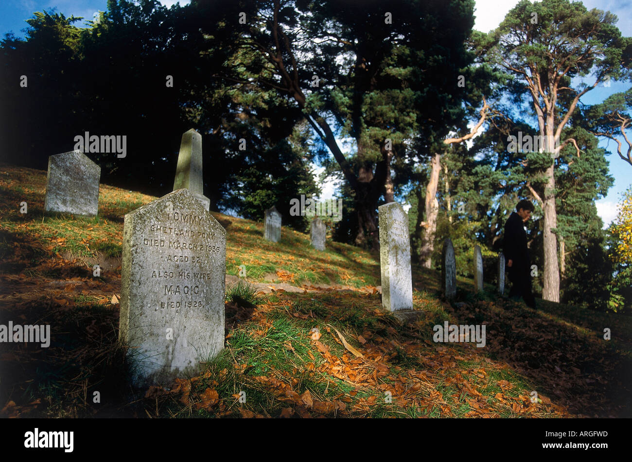 The animal cemetery in Powerscourt Gardens Stock Photo - Alamy