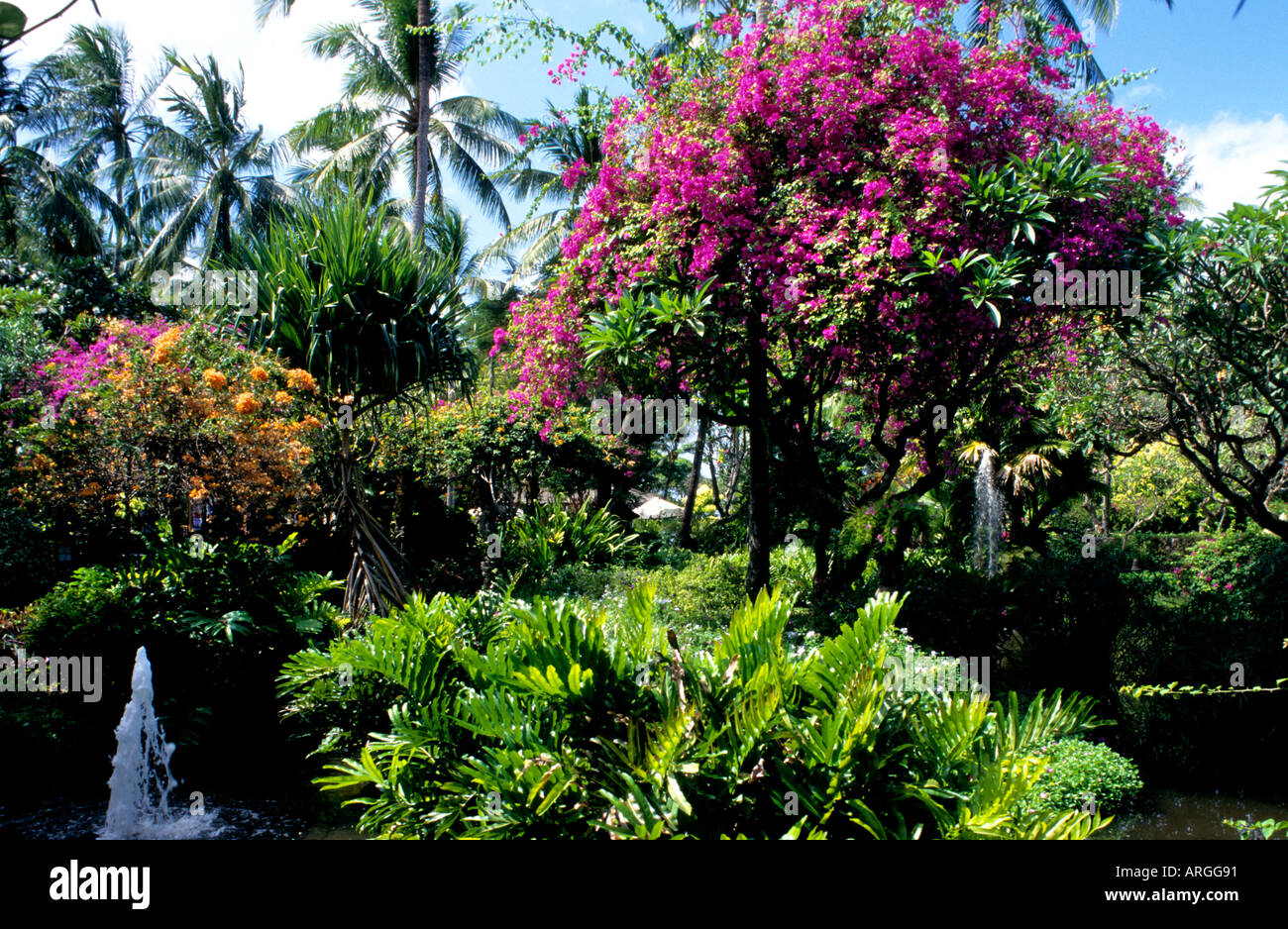 Flowers Bali Indonesia flower Indonesian Stock Photo - Alamy