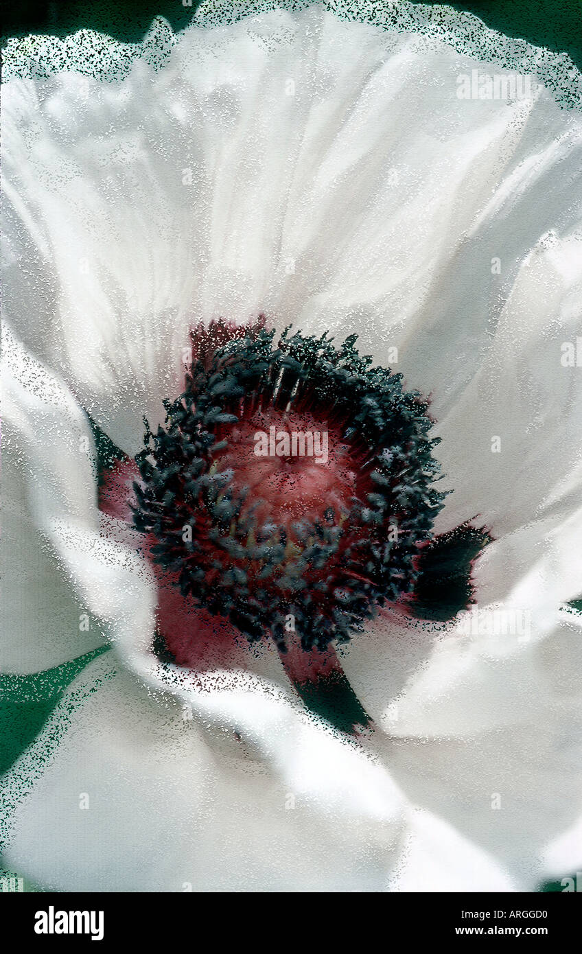 Superimposed images hi-res stock photography and images - Alamy