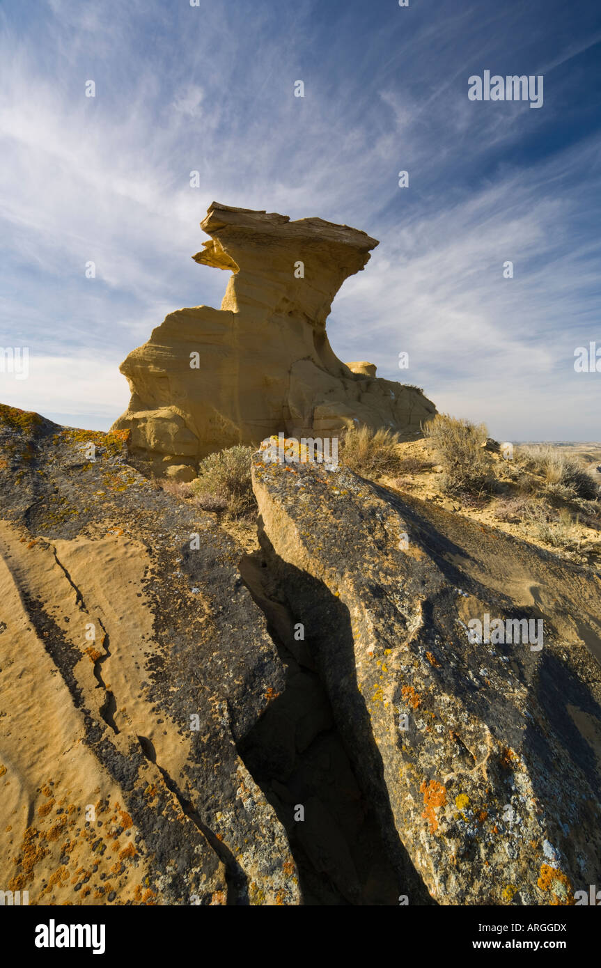 Hell creek formation montana hi-res stock photography and images - Alamy