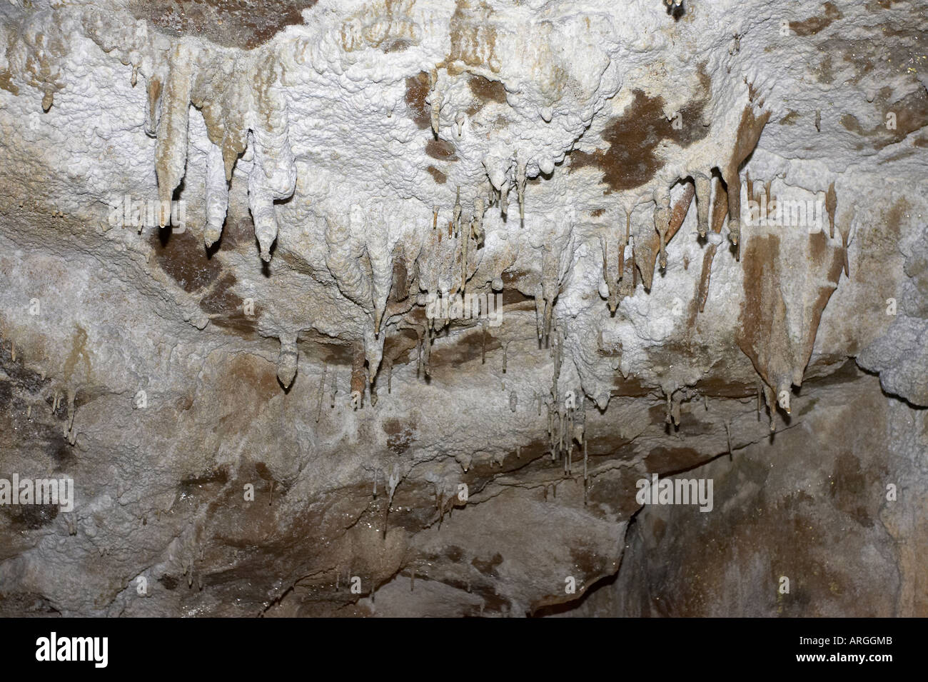 small and straw white stalactites Stock Photo - Alamy