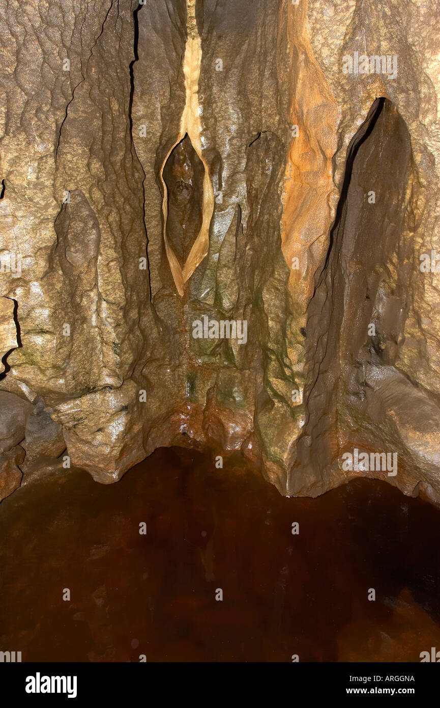 Cave cave bacon hi-res stock photography and images - Alamy