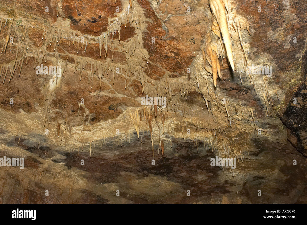 small and soda straw stalactites Stock Photo - Alamy