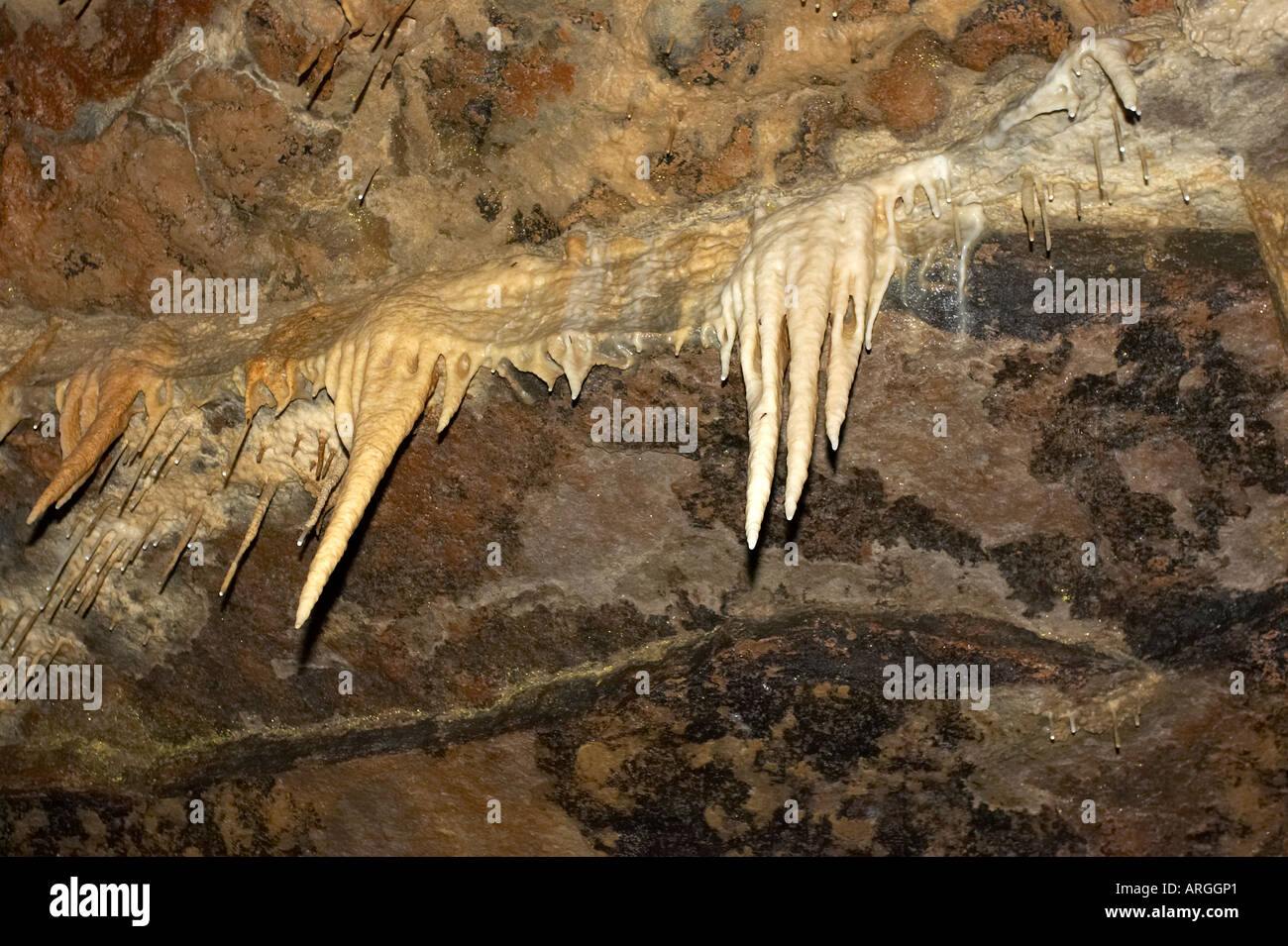 small and soda straw stalactites in Marble Arch Caves European Geopark ...