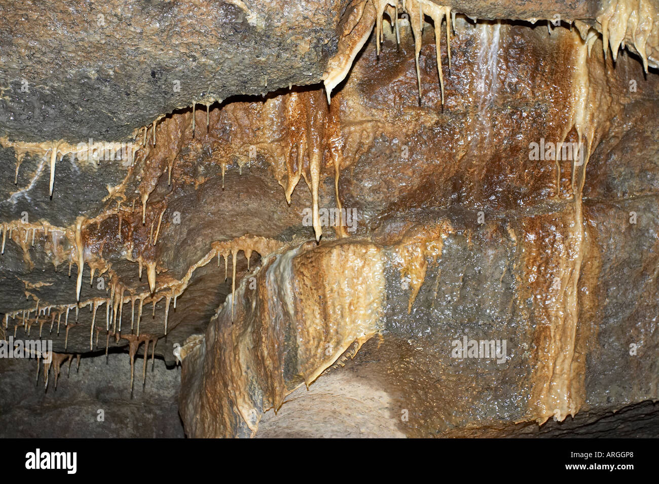 small soda straw and ribbon stalactites Stock Photo - Alamy