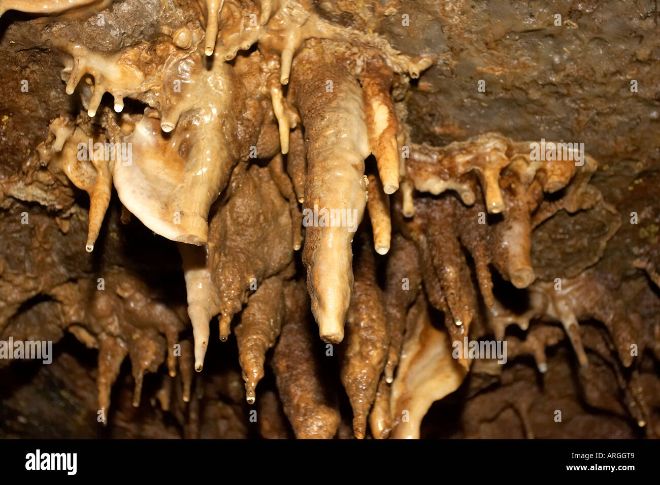Soda straw cave hi-res stock photography and images - Alamy