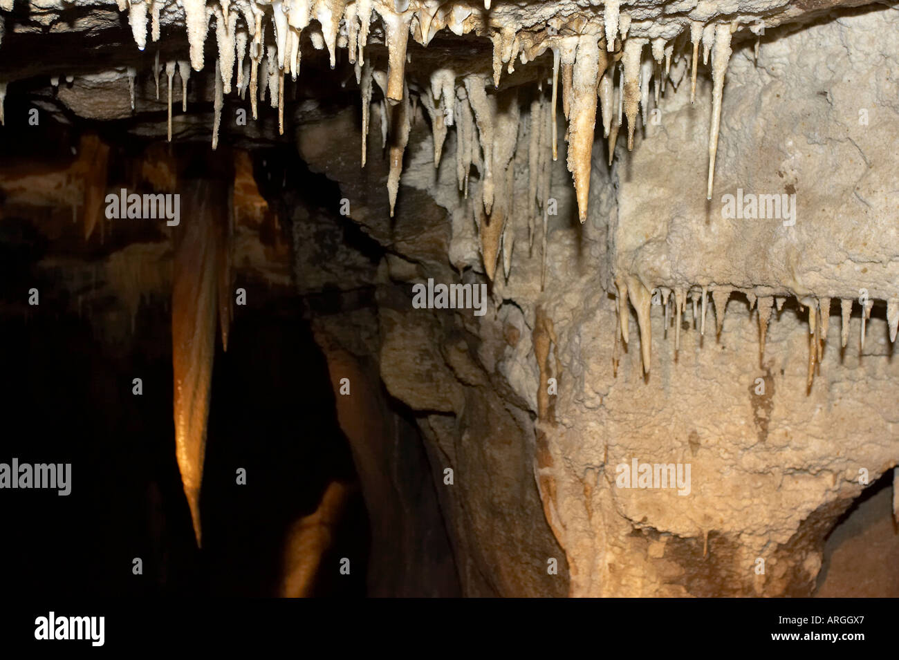 small and straw stalactites with the longest stalactite in the caves ...