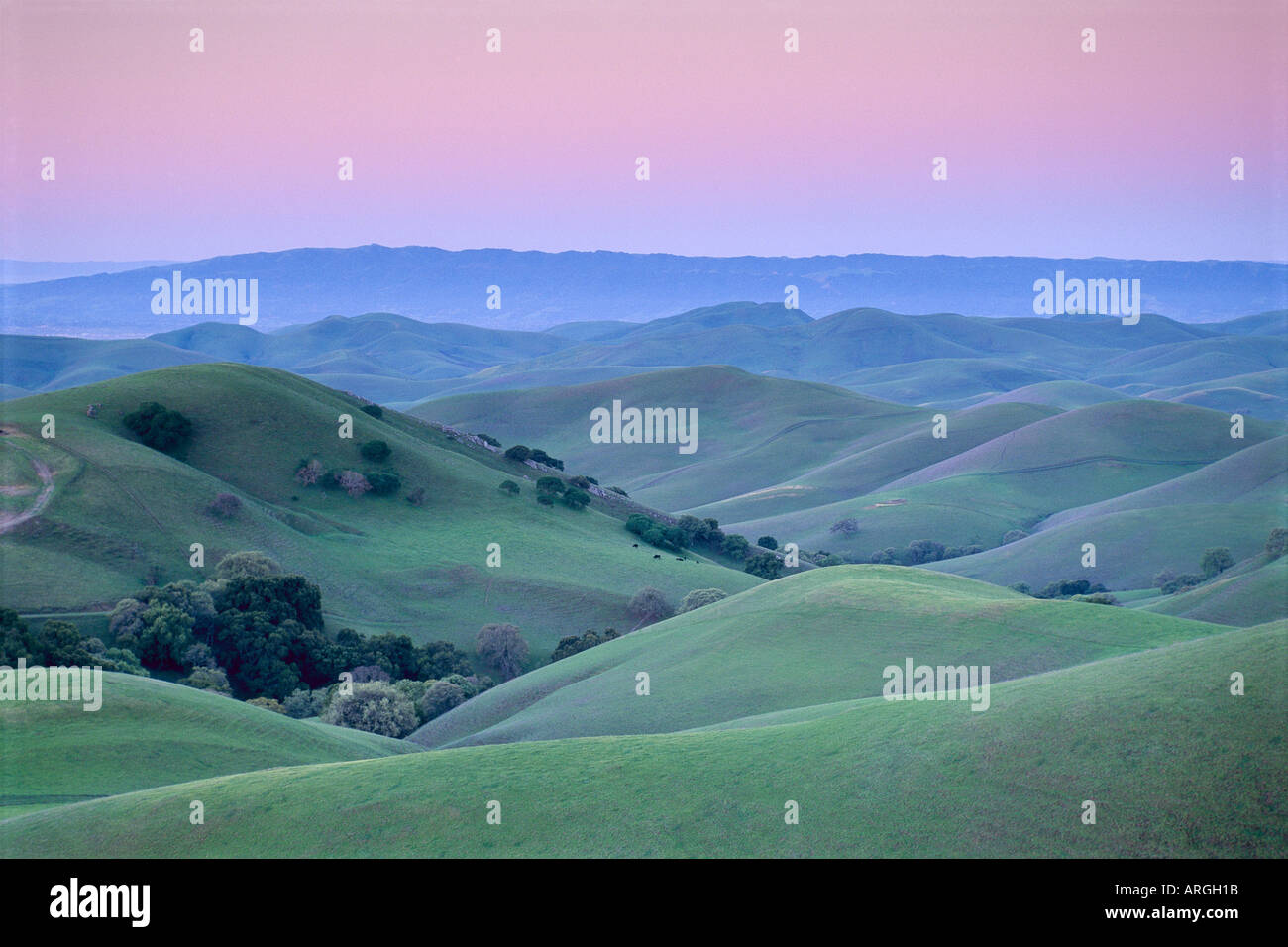 Rich green pastures hi-res stock photography and images - Alamy