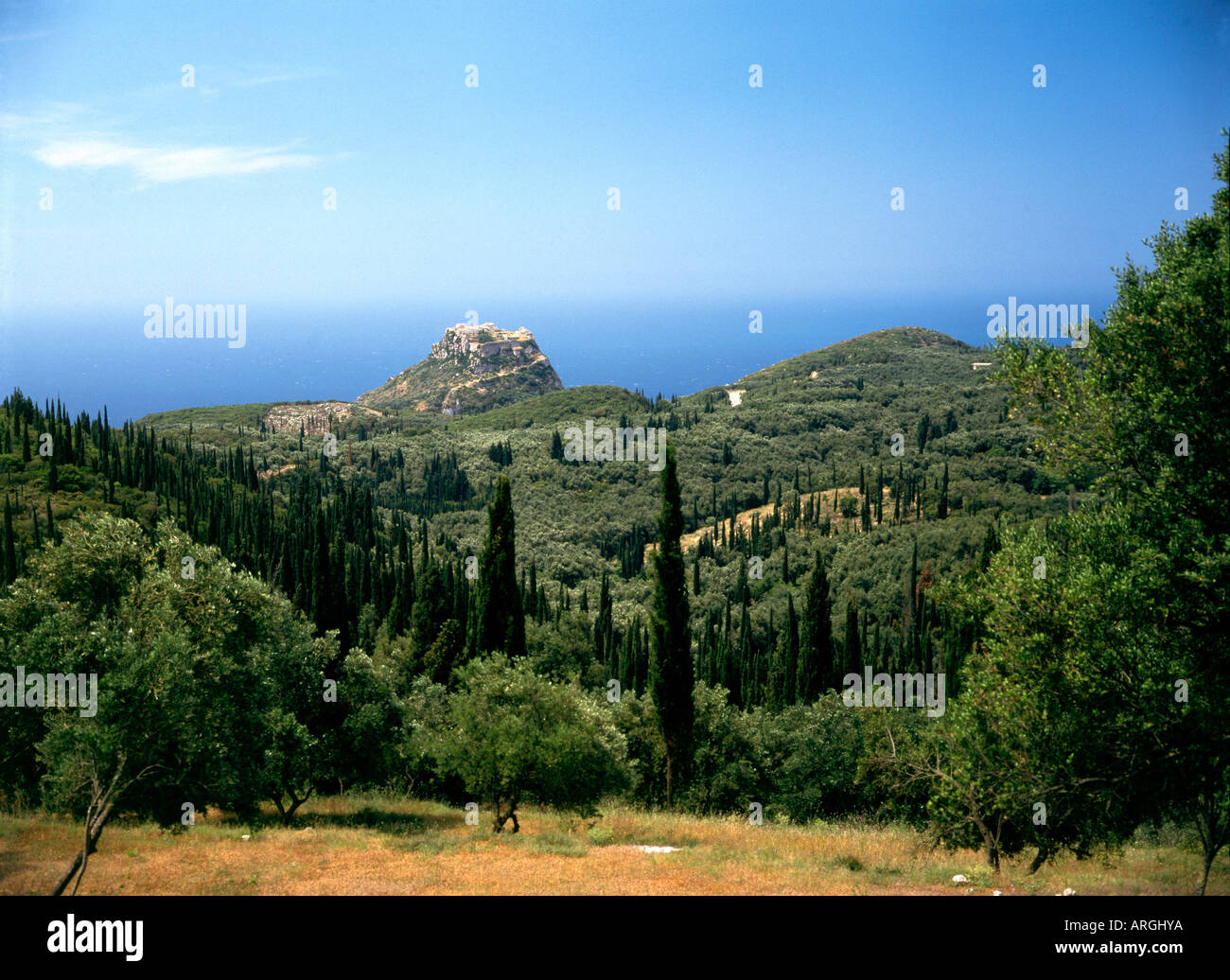 Trees and hills in corfu hi-res stock photography and images - Alamy