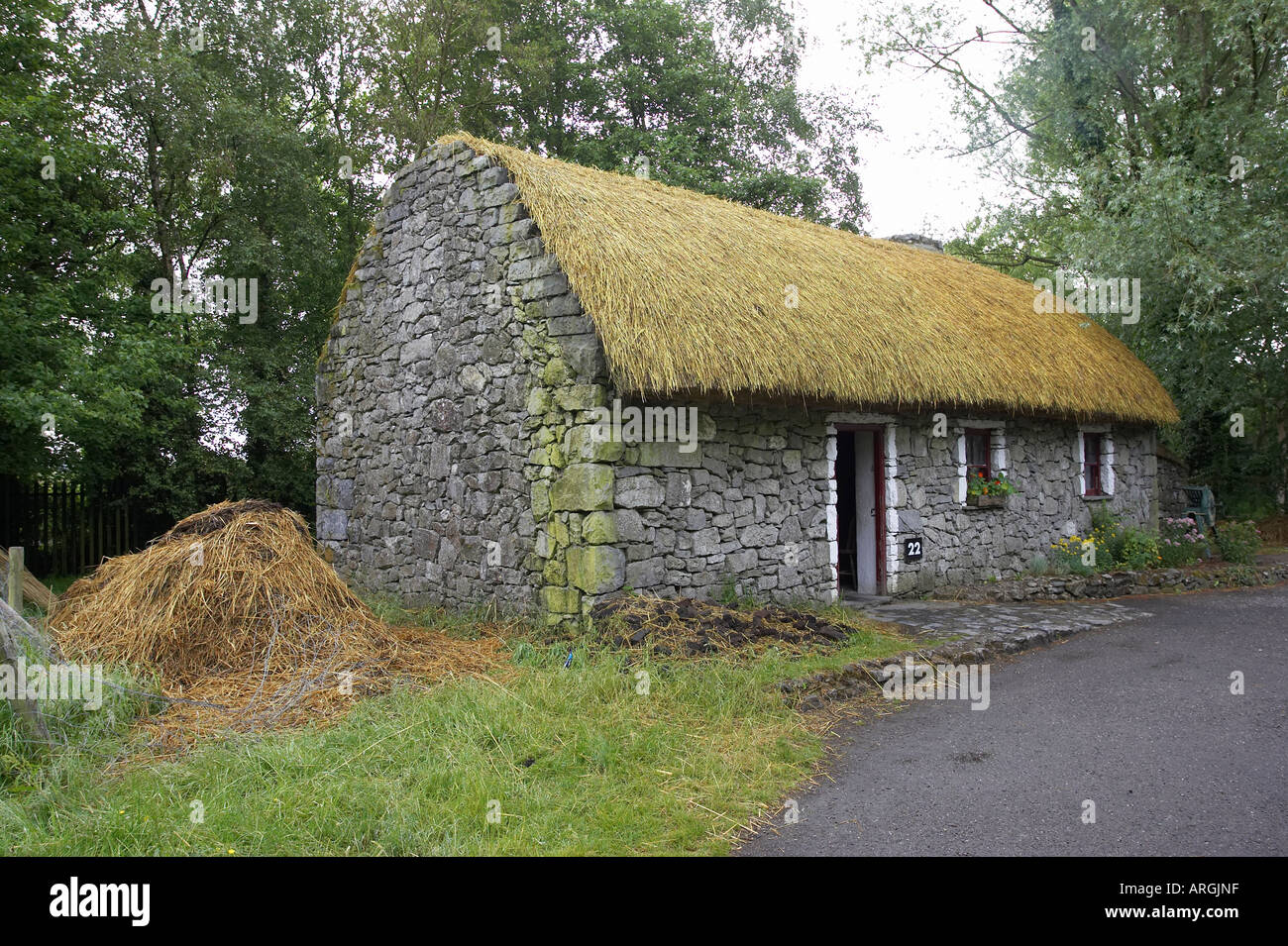 traditional irish country byre dwelling where humans and their milking ...