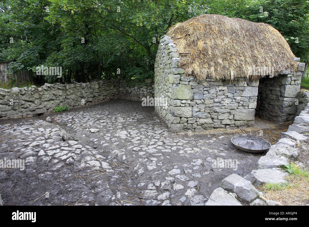 traditional irish thatched pig sty house and walled pig pen pigsty ...