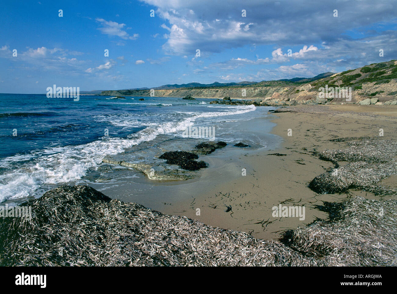 Waves lap onto the sands of Lara Beach where loggerhead turtles lay ...