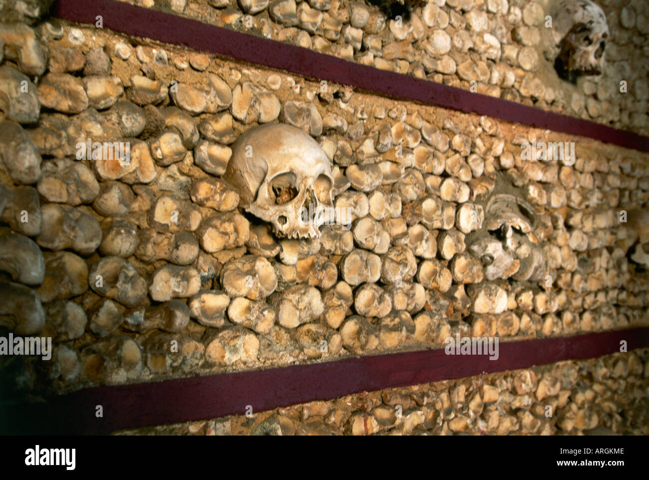 Some of the skulls and other monks bones which were extracted from ...