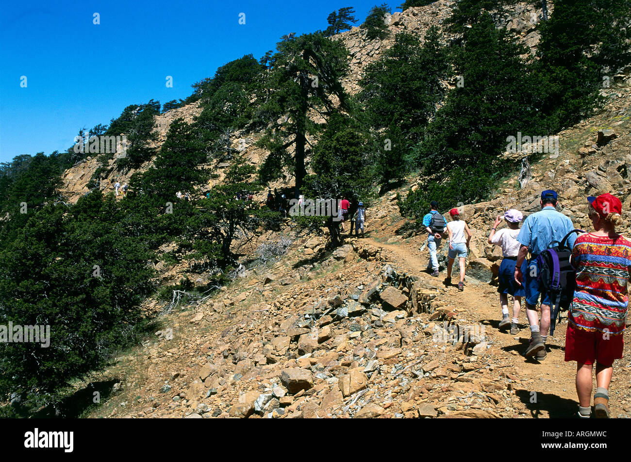 A line of hikers striding along a path which skirts a steep ...