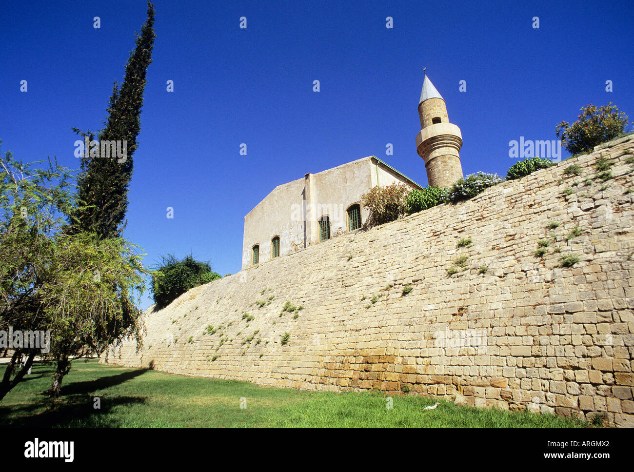 A tall cypress rises before the Bayraktar Mosque which sits on top of ...