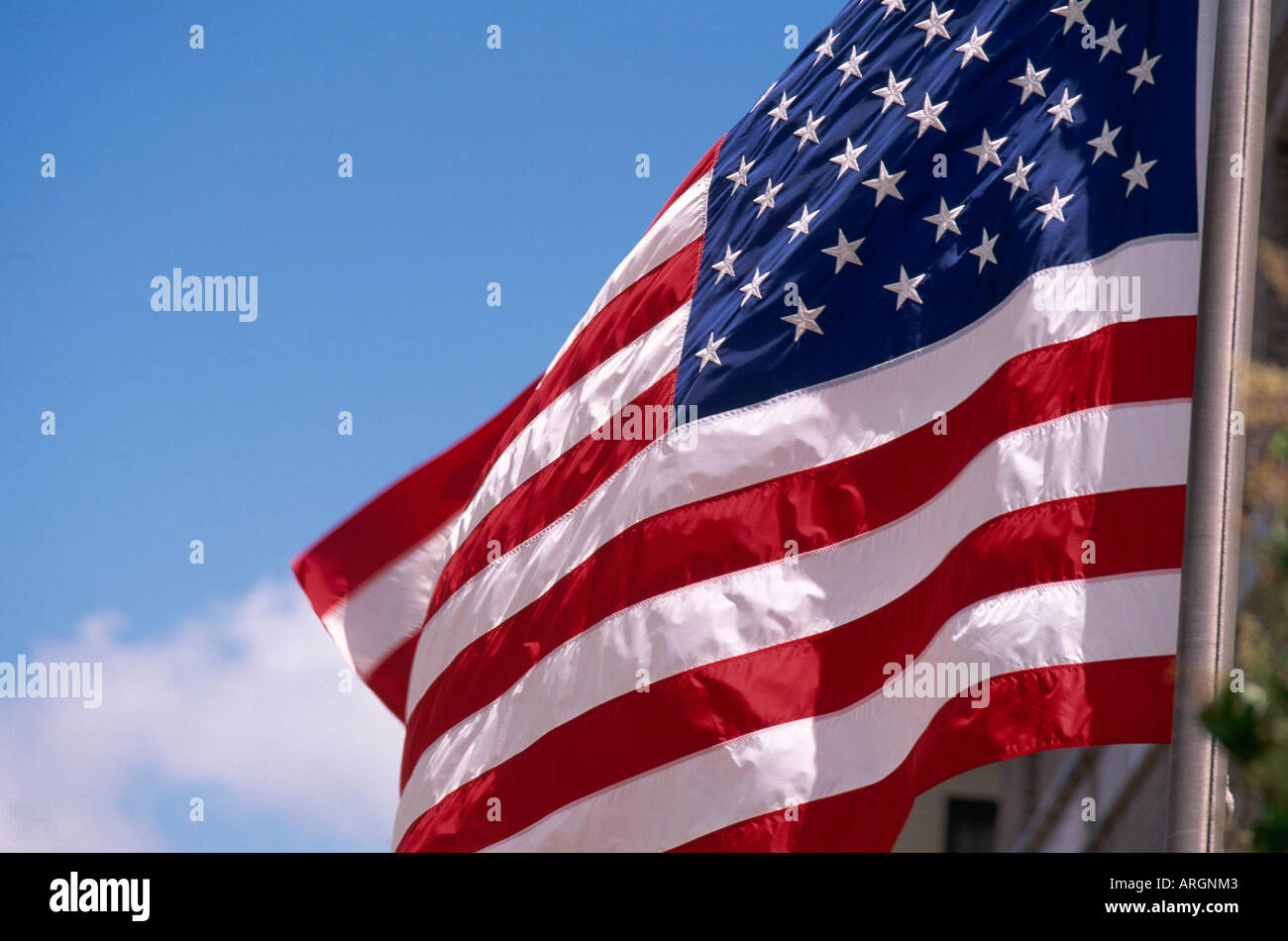 American Flag 51 Stars