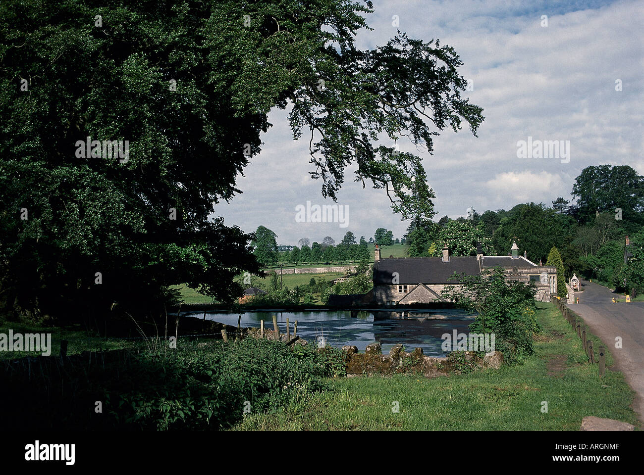 Tissington village pond hi-res stock photography and images - Alamy