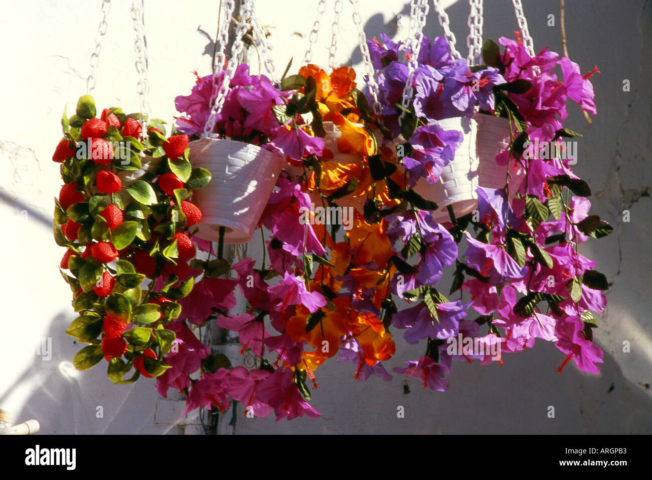 Colourful Flowers Tetouan Medina Old Town Tetuan Tangier-Tétouan ...