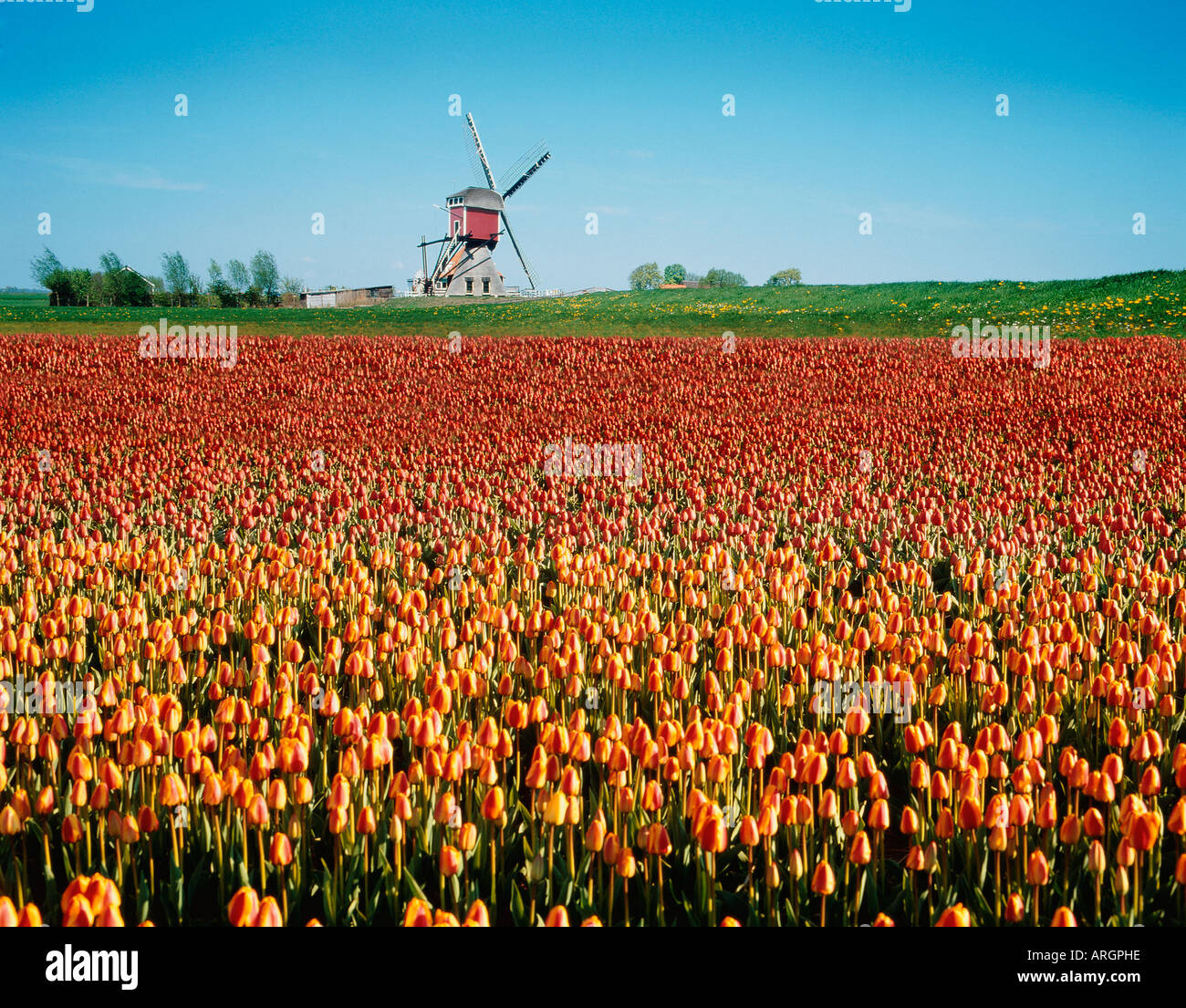 Must see netherlands hi-res stock photography and images - Alamy