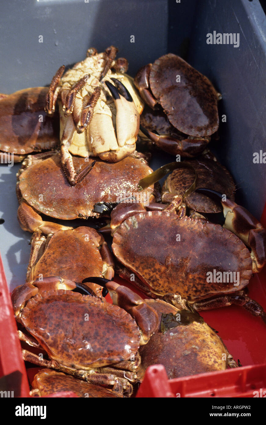 Wrac hi-res stock photography and images - Alamy